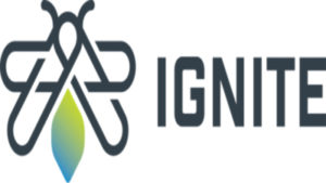 IGNITE meeting expected to change its governance structure | Humber News