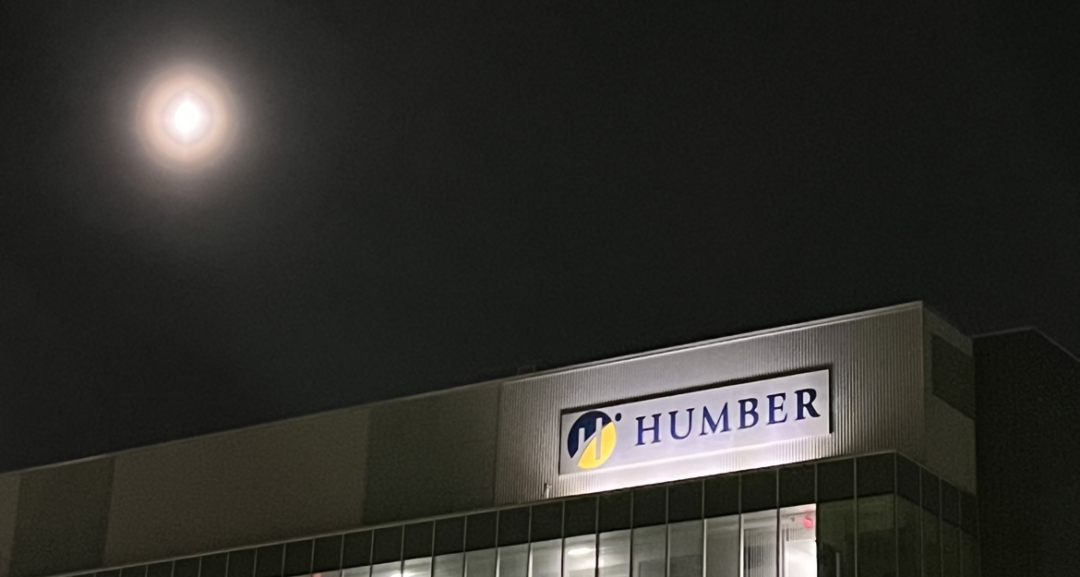 As you prepare for college, Humber students share some advice | Humber News